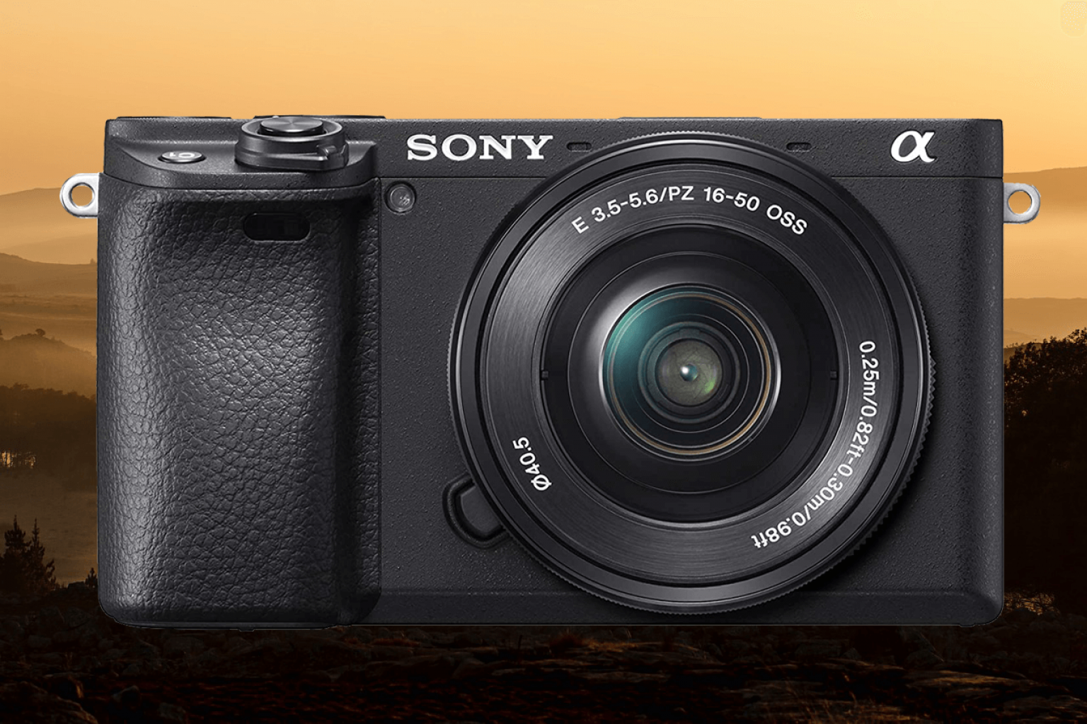 7 Best Cameras for Pet Photography in 2022 [Buying Guide] CameraIO