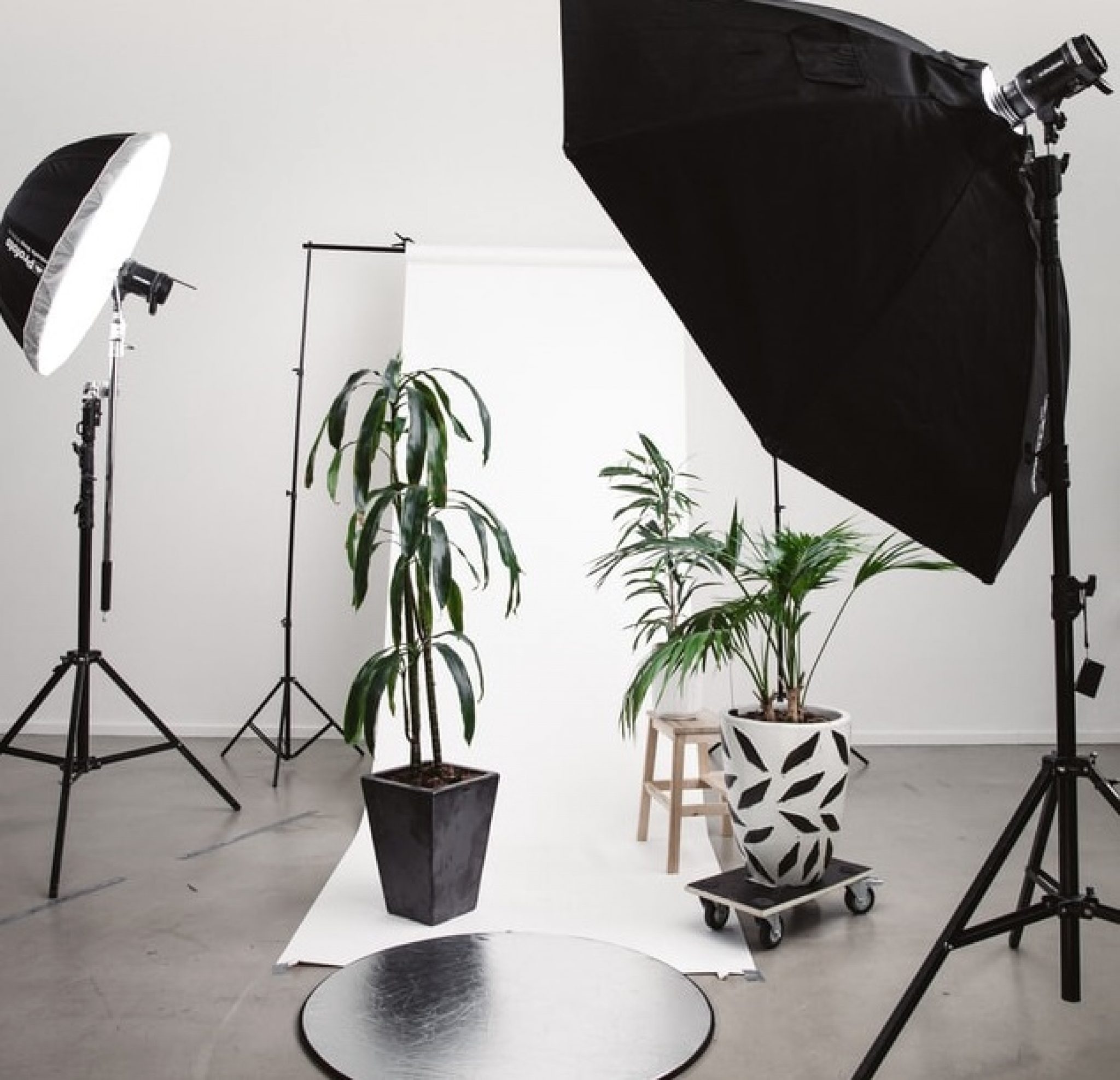 Best Backdrop Stands for Photography (Inside, Studio, and More)