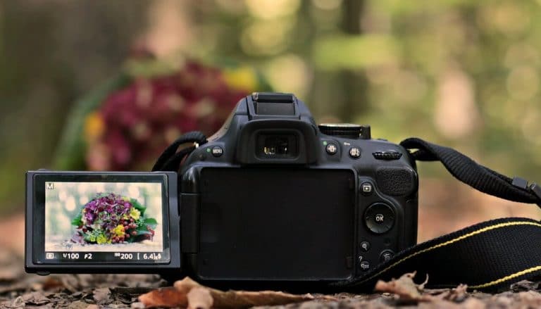 What is ISO on a Camera? (Everything is Explained with Secret Settings ...