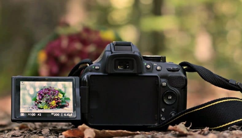 What is ISO on a Camera? (Everything is Explained with Secret Settings ...